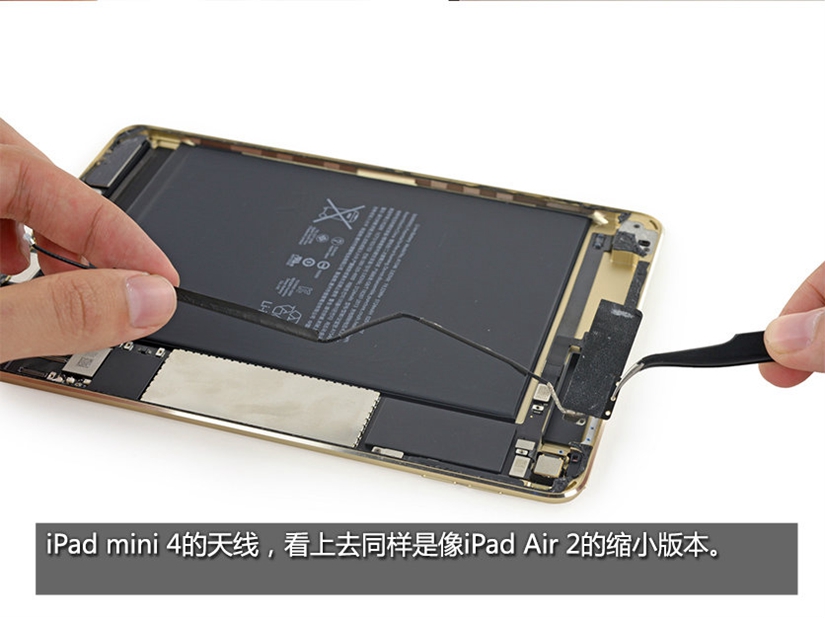 ipadmini4拆机图解,id5机,id1机_大山谷图库